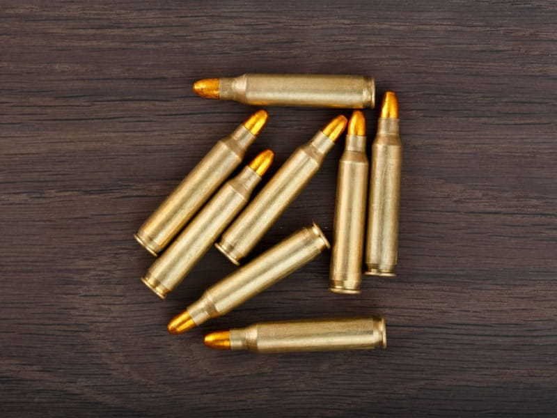 30 30 Vs 308 The Best Deer Cartridge Showdown